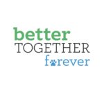 Effective Brand Creation for a Memorable User Experience - SPD ...