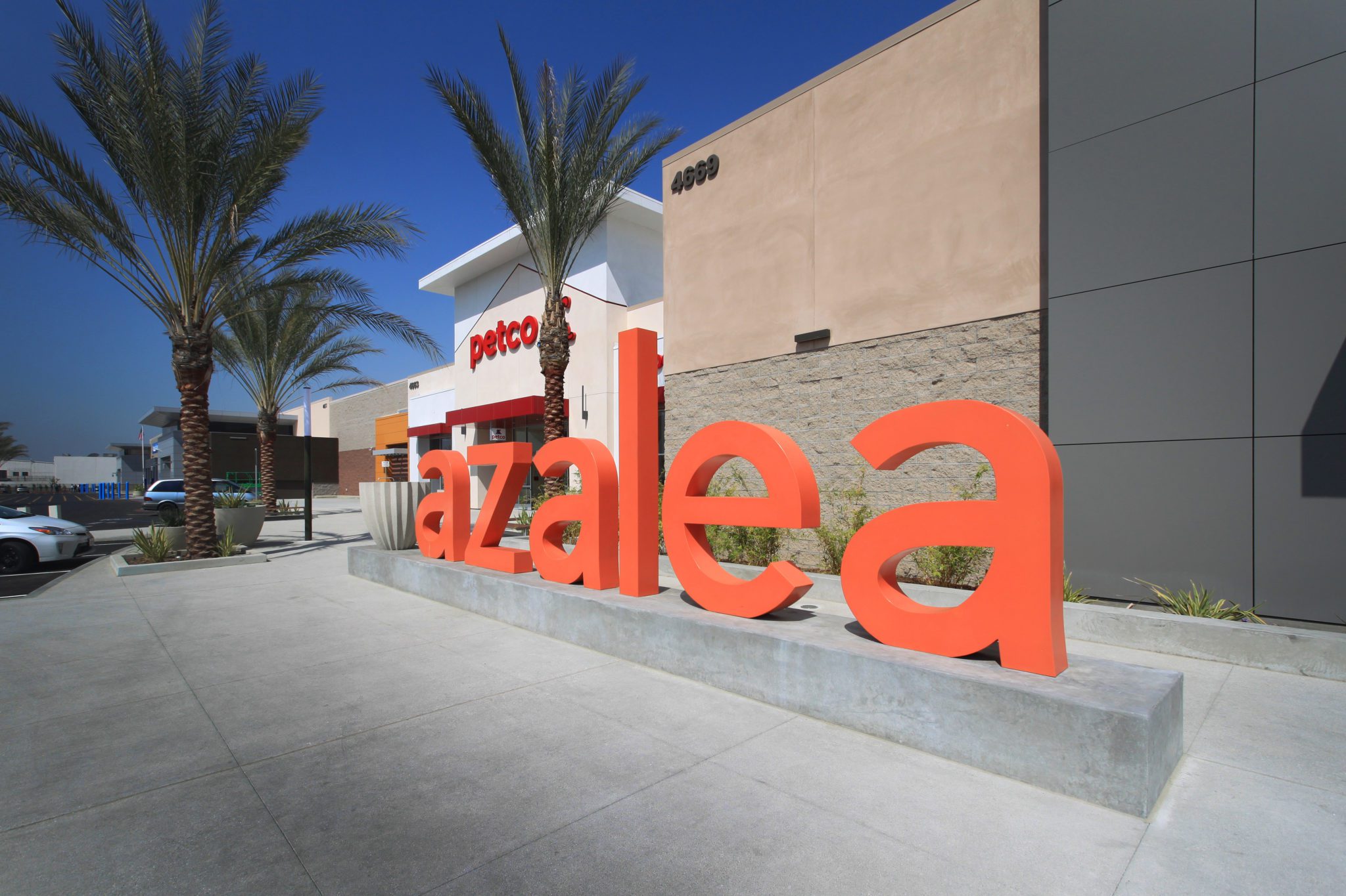 azalea - SPD - Selbert Perkins Design